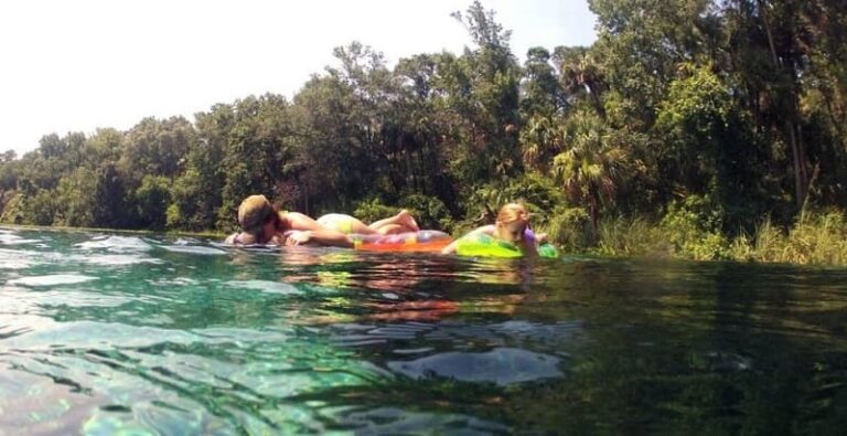 ☑️ Alexander Springs Recreation Area Florida | La Guía 2024