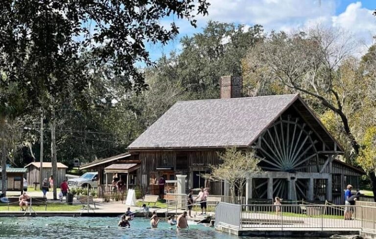 ☑️ De Leon Springs State Park Florida | La Mejor Guía 2023